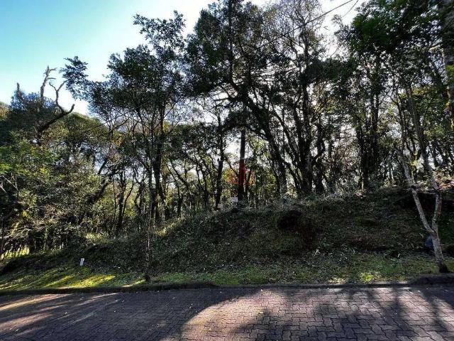 Terreno em Condomínio para Venda em Canela/RS Pinheiro Grosso