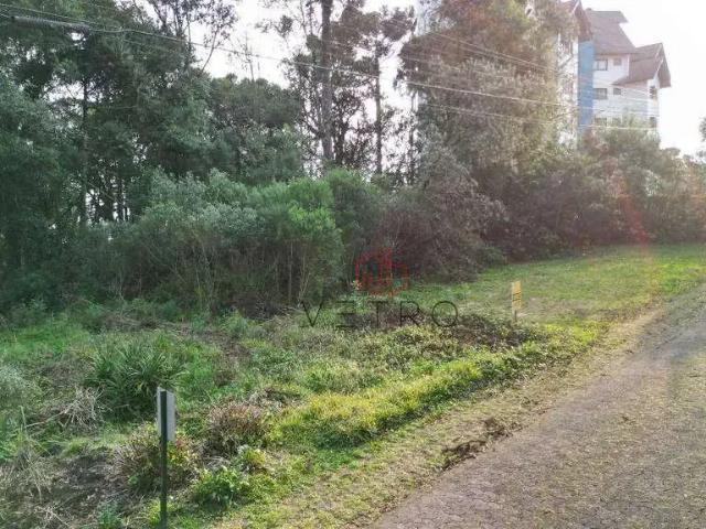 Terreno em Condomínio para Venda em Canela/RS Quinta da Serra