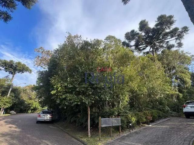 Terreno em Condomínio para Venda em Canela/RS Reserva da Serra