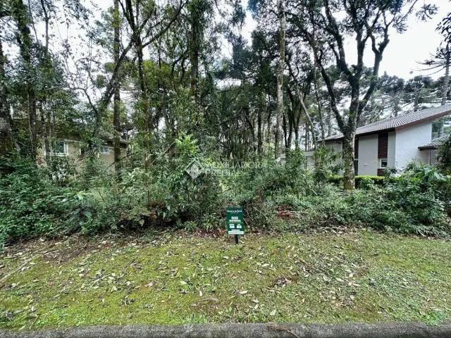 Terreno em Condomínio para Venda em Canela/RS Reserva da Serra