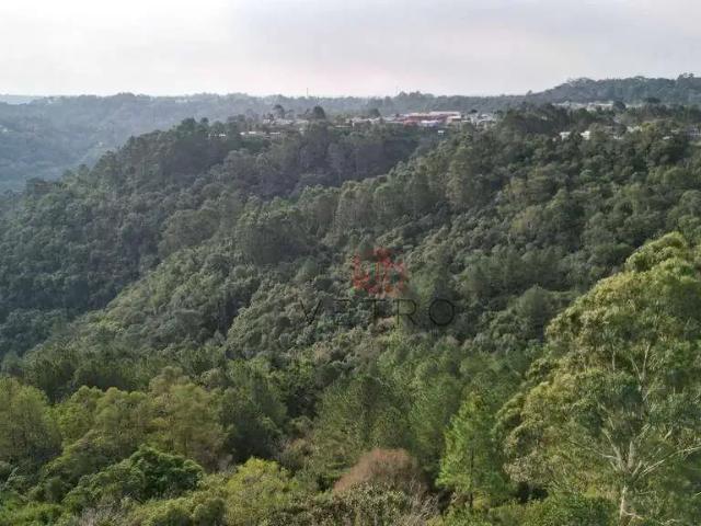 Terreno em Condomínio para Venda em Canela/RS Reserva da Serra