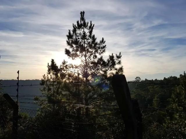 Terreno em Condomínio para Venda em Canela/RS Reserva da Serra