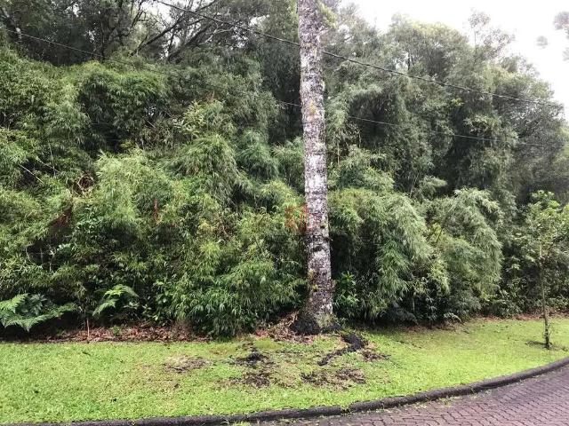 Terreno em Condomínio para Venda em Canela/RS Reserva da Serra