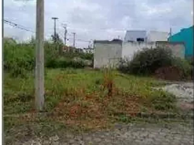 Terreno em Condomínio para Venda em Cachoeira Paulista/SP Bairro das Palmeiras