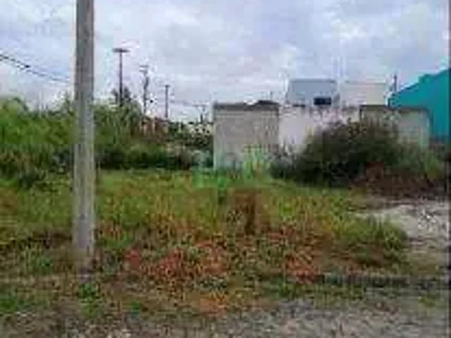 Terreno em Condomínio para Venda em Cachoeira Paulista/SP Bairro das Palmeiras