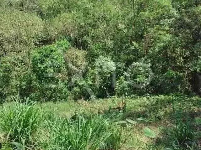Terreno em Condomínio para Venda em Cajamar/SP Serra dos Lagos Jordanésia