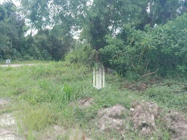 Terreno em Condomínio para Venda em Caraguatatuba/SP Massaguaçu