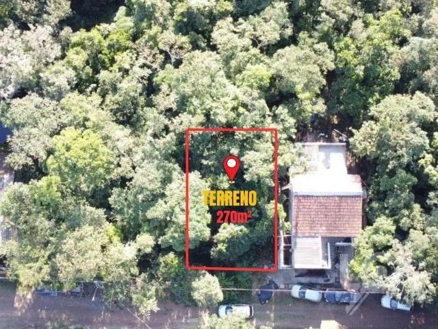 Terreno em Condomínio para Venda em Caraguatatuba/SP Massaguaçu