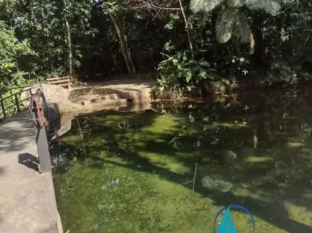 Terreno em Condomínio para Venda em Caraguatatuba/SP Park Imperial