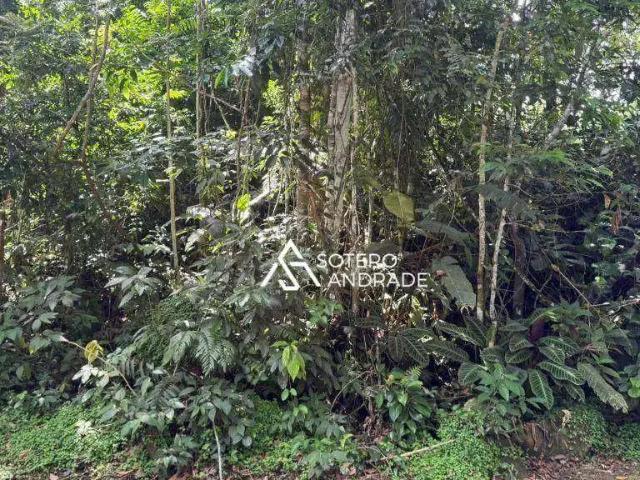 Terreno em Condomínio para Venda em Caraguatatuba/SP Park Imperial