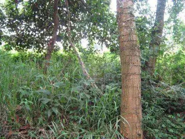 Terreno em Condomínio para Venda em Carapicuíba/SP Granja Viana