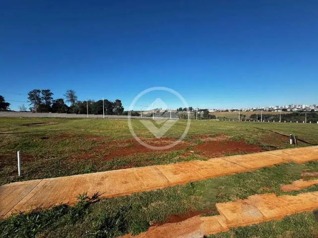 Terreno em Condomínio para Venda em Cascavel/PR Brasília