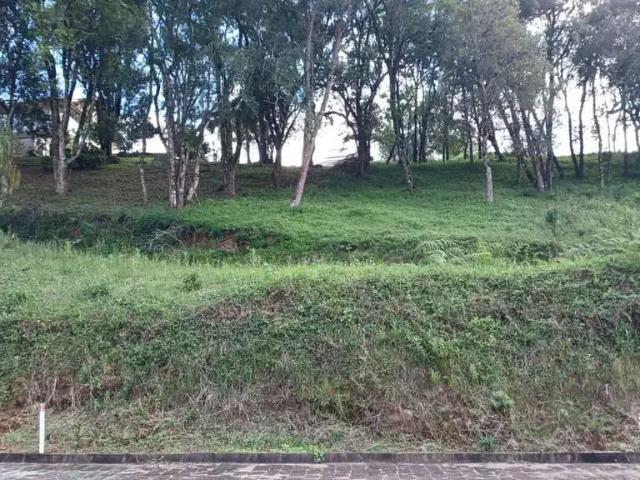 Terreno em Condomínio para Venda em Caxias do Sul/RS Linha 40