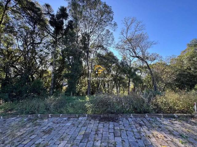 Terreno em Condomínio para Venda em Caxias do Sul/RS Linha 40