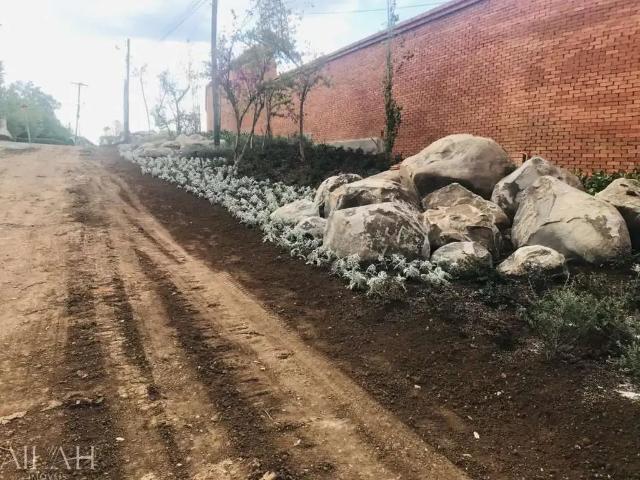 Terreno em Condomínio para Venda em Caxias do Sul/RS Monte Bérico