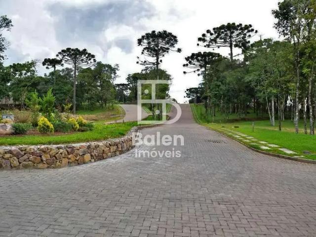 Terreno em Condomínio para Venda em Caxias do Sul/RS Serrano