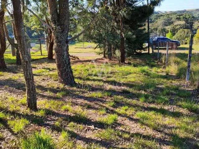 Terreno em Condomínio para Venda em Caxias do Sul/RS Vila Seca