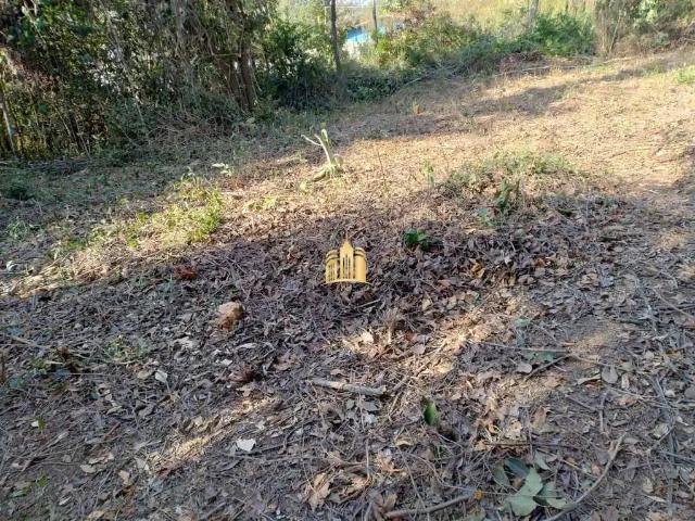 Terreno em Condomínio para Venda em Contagem/MG Vila Ipê Amarelo