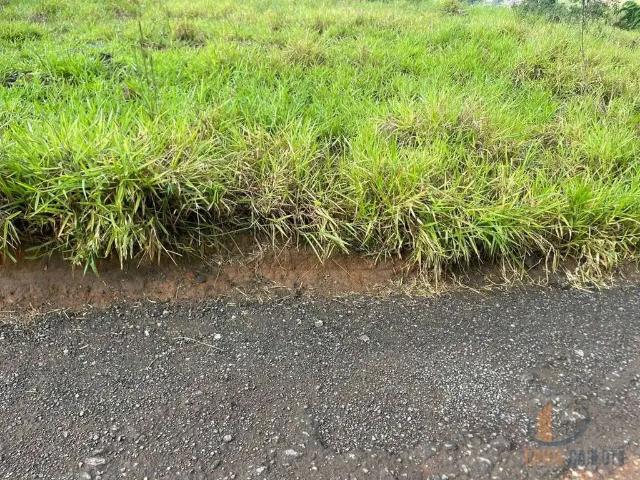 Terreno em Condomínio para Venda em Conselheiro Lafaiete/MG Amaro Ribeiro
