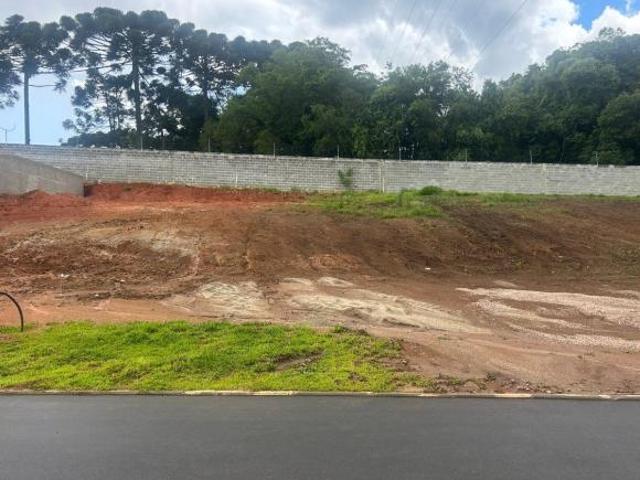 Terreno em Condomínio para Venda em Colombo, Colônia Faria