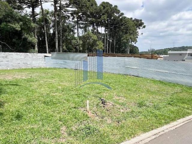Terreno em Condomínio para Venda em Colombo, Colônia Faria