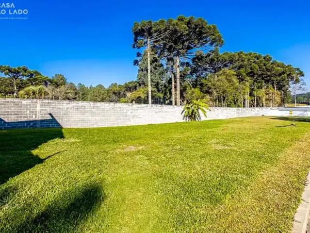 Terreno em Condomínio para Venda em Colombo/PR Colônia Faria
