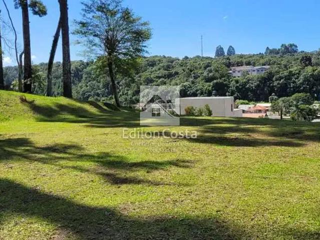 Terreno em Condomínio para Venda em Colombo/PR Roça Grande
