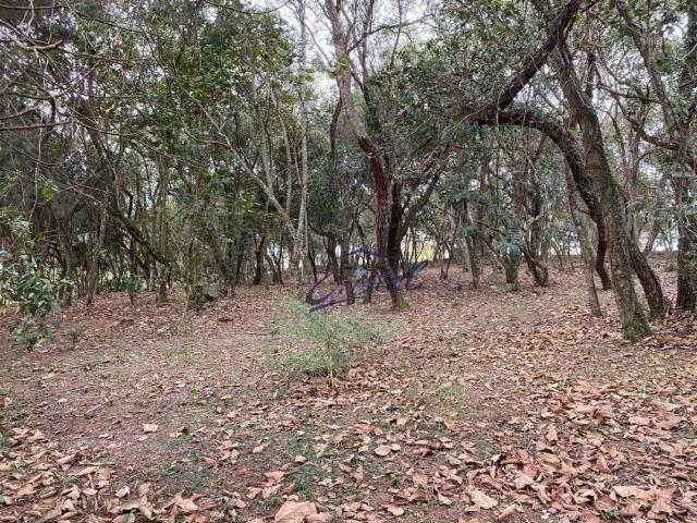 Terreno em Condomínio para Venda em Cotia/SP Centro