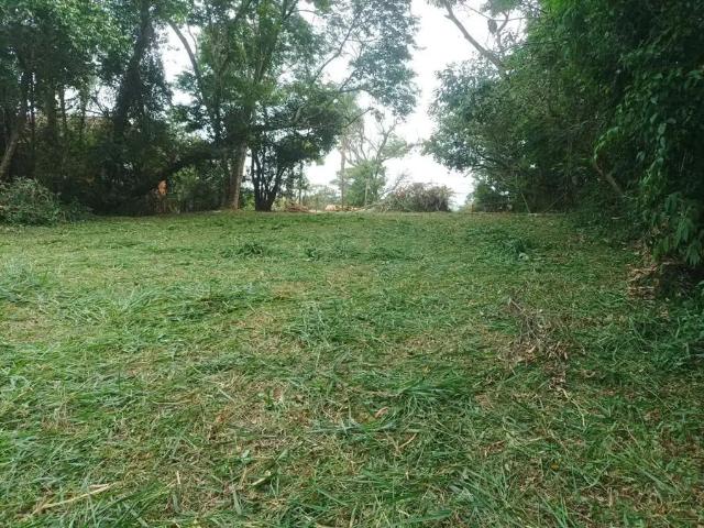 Terreno em Condomínio para Venda em Cotia/SP Chácara Represinha