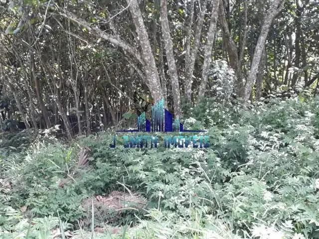 Terreno em Condomínio para Venda em Cotia/SP Gramado