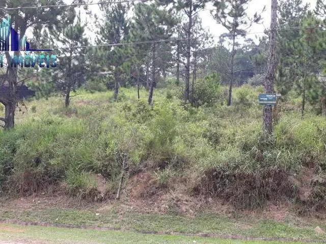 Terreno em Condomínio para Venda em Cotia/SP Gramado