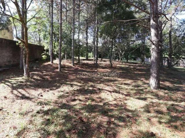 Terreno em Condomínio para Venda em Cotia/SP Granja Viana