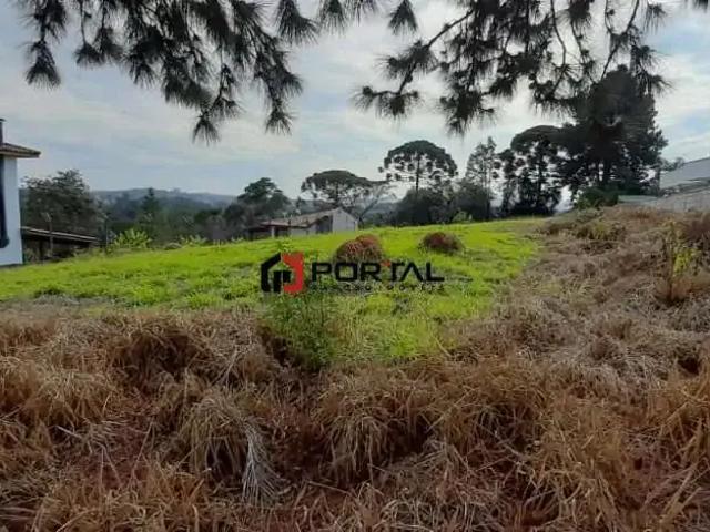 Terreno em Condomínio para Venda em Cotia/SP Granja Viana