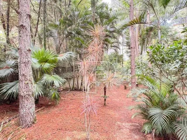 Terreno em Condomínio para Venda em Cotia/SP Granja Viana