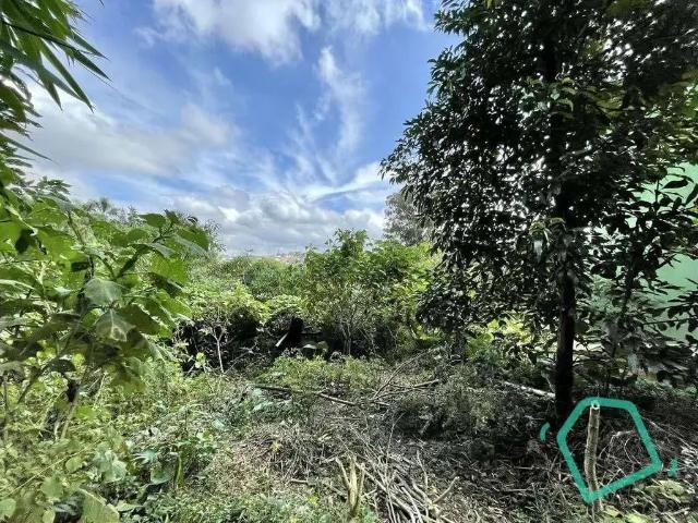 Terreno em Condomínio para Venda em Cotia/SP Granja Viana