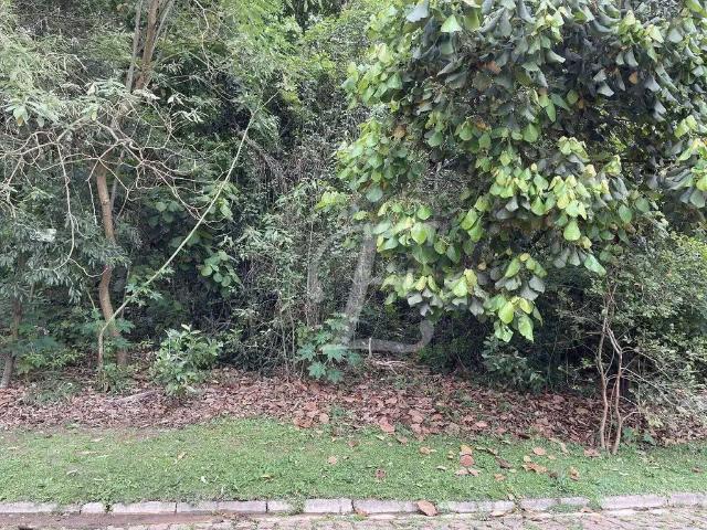 Terreno em Condomínio para Venda em Cotia/SP Granja Viana II