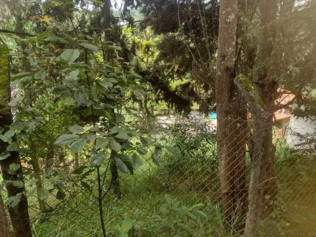 Terreno em Condomínio para Venda em Cotia/SP Granja Carneiro Viana