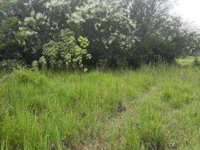Terreno em Condomínio para Venda em Cotia/SP Jardim Barbacena