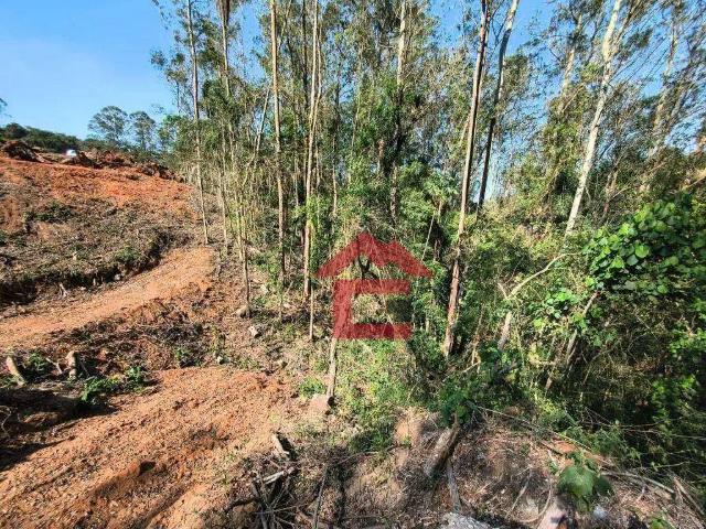 Terreno em Condomínio para Venda em Cotia/SP Jardim Santa Paula
