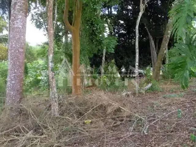 Terreno em Condomínio para Venda em Cotia/SP Jardim San Ressore Caucaia do Alto