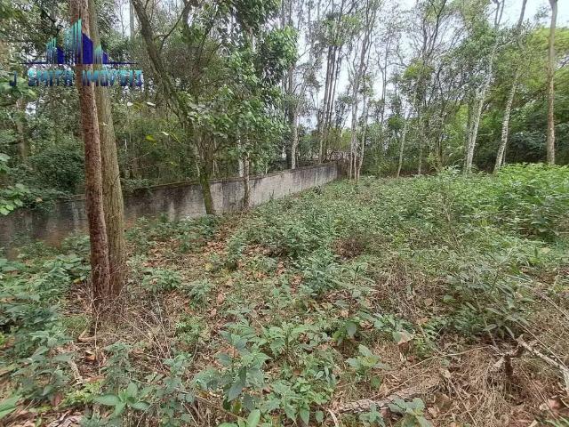 Terreno em Condomínio para Venda em Cotia/SP Paisagem Renoir