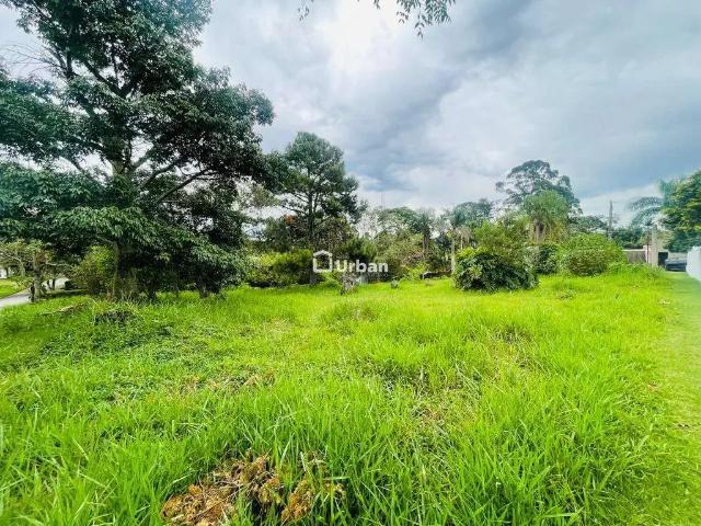 Terreno em Condomínio para Venda em Cotia/SP Parque Dom Henrique