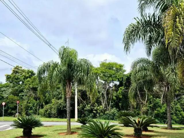 Terreno em Condomínio para Venda em Cotia/SP Parque Dom Henrique