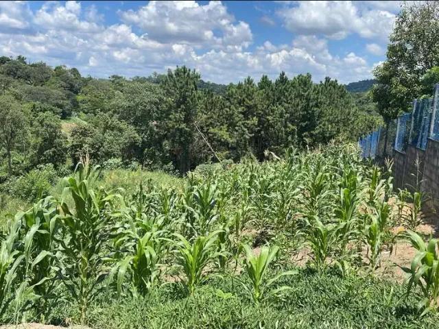 Terreno em Condomínio para Venda em Cotia/SP Parque Rizzo