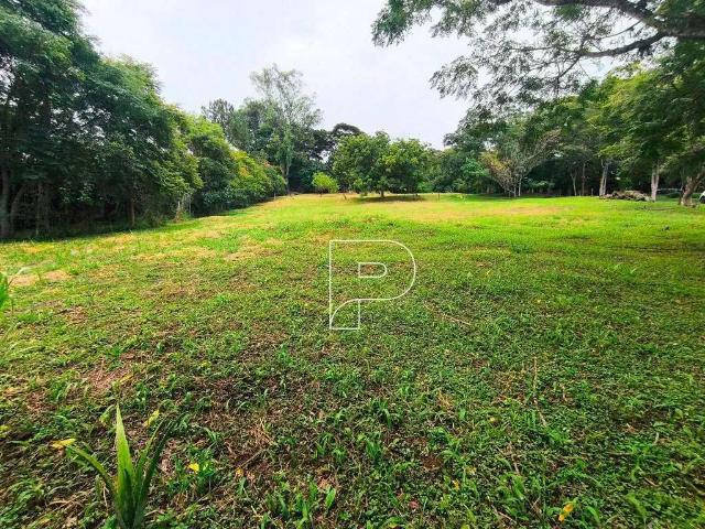 Terreno em Condomínio para Venda em Cotia/SP Parque Silvino Pereira
