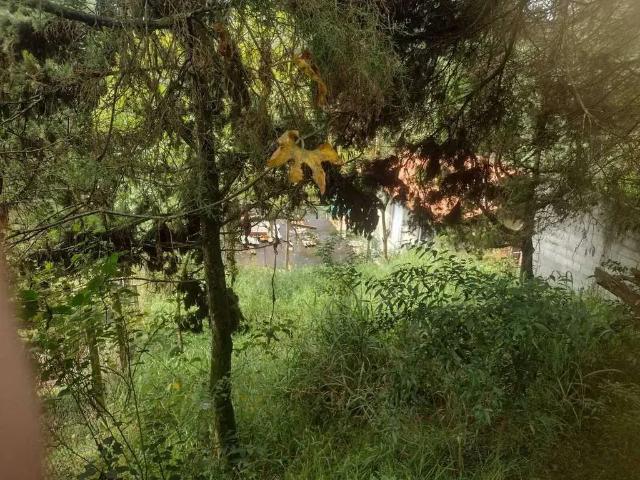 Terreno em Condomínio para Venda em Cotia/SP Pitas