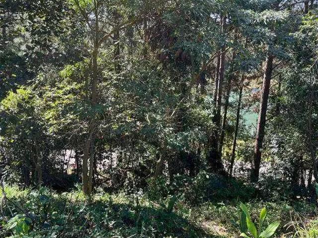 Terreno em Condomínio para Venda em Cotia/SP Quinta dos Angicos