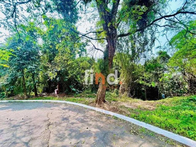 Terreno em Condomínio para Venda em Cotia/SP São Paulo II