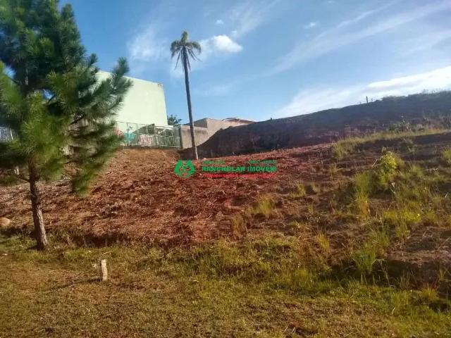 Terreno em Condomínio para Venda em Cotia/SP Tijuco Preto