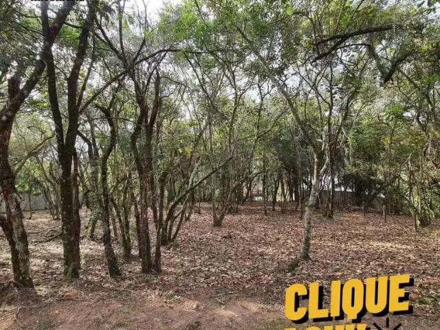 Terreno em Condomínio para Venda em Cotia/SP Vila de São Fernando